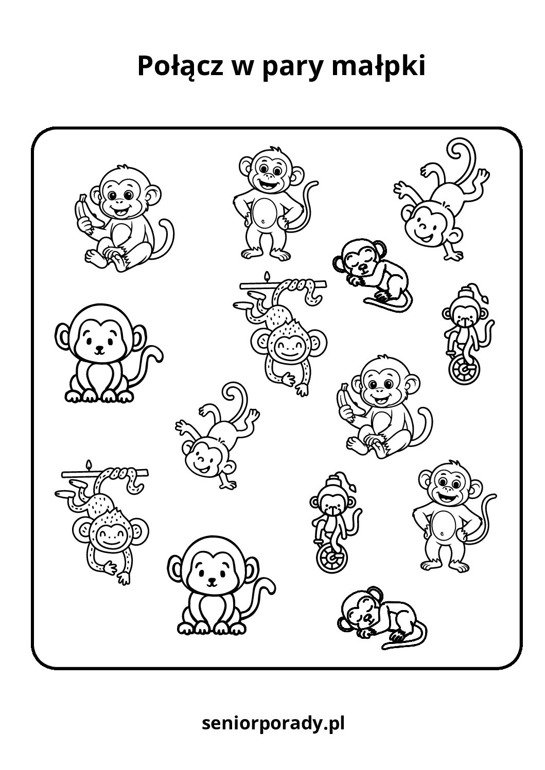 Ćwiczenia na pamięć dla seniorów: Proste metody i darmowe PDFy